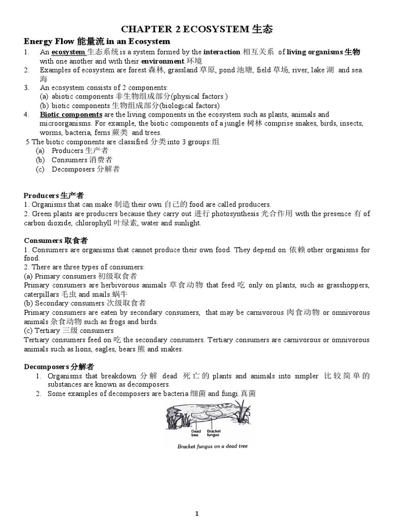 F2 CHP 2 Ecosystem (Chinese) | PDF | Ecosystem | Food Web