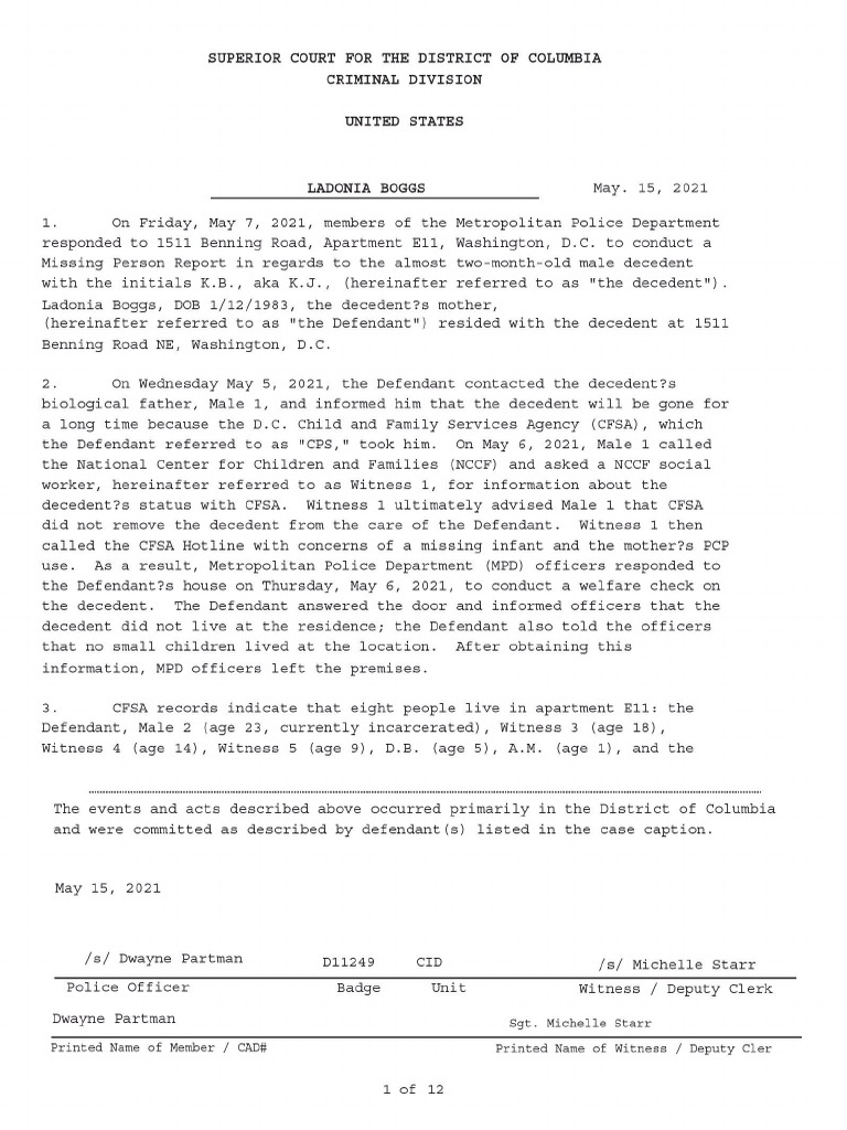 Boggs Gernstein Affidavit | PDF
