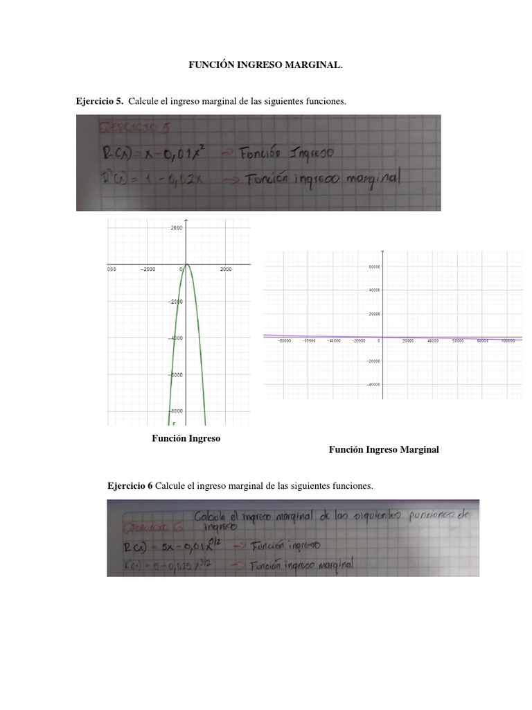Función Ingreso Marginal | PDF