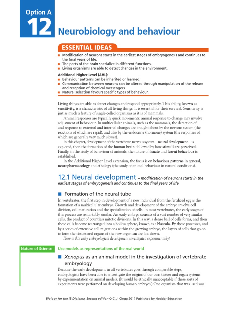 Biology For The IB Diploma - Option A Neurobiology and Behaviour | PDF ...