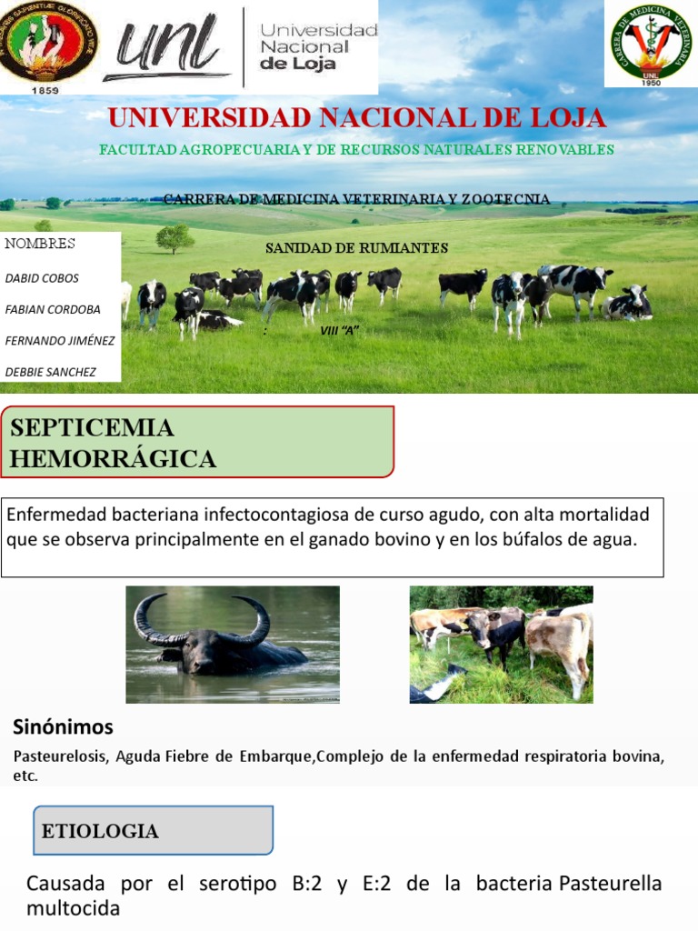 Septicemia Hemorrágica | PDF | Septicemia | Ántrax