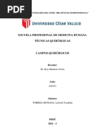 Obstrucción Intestinal por Bridas y Adherencias | PDF | Medicina ...