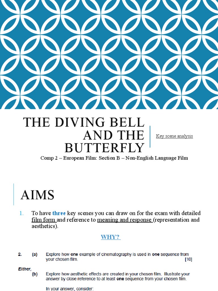 Diving Bell Key Scenes | PDF | Cinematography