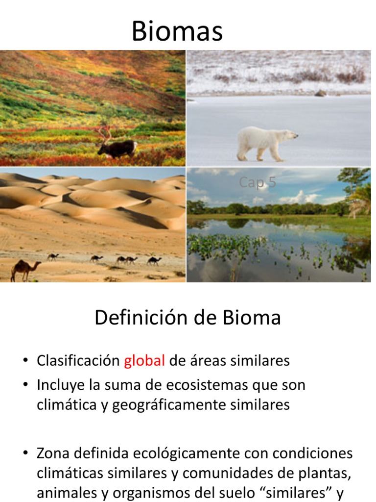 Clase 5 Biomas | PDF | Zona tropical | Selva