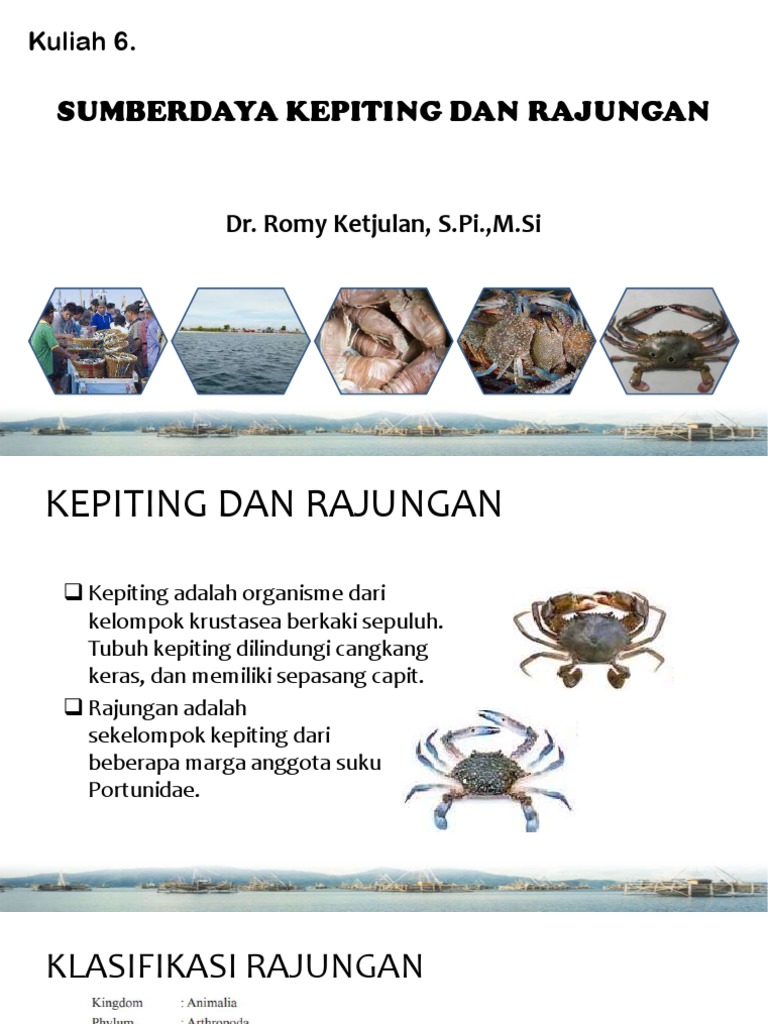Perbedaan & Habitat Kepiting Rajungan | PDF | Sains & Matematika
