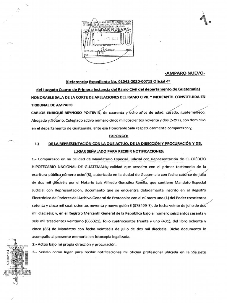 Modelo de Amparo | PDF