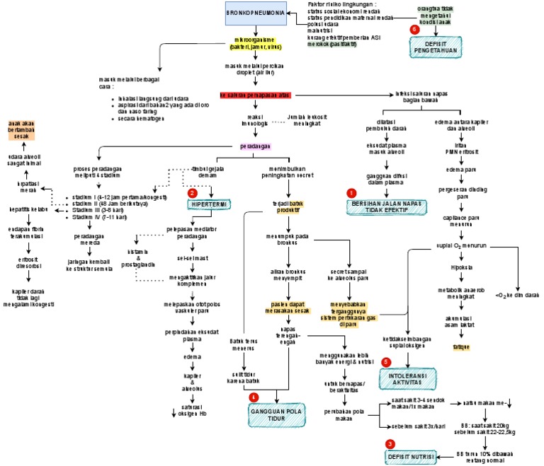 WOC Bronkopneumonia | PDF