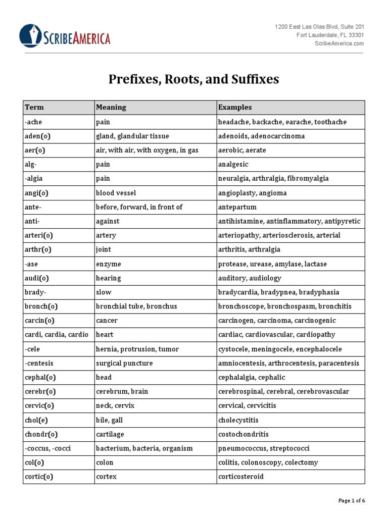 Prefixes, Roots and Suffixes | PDF | Blood Vessel | Anatomy
