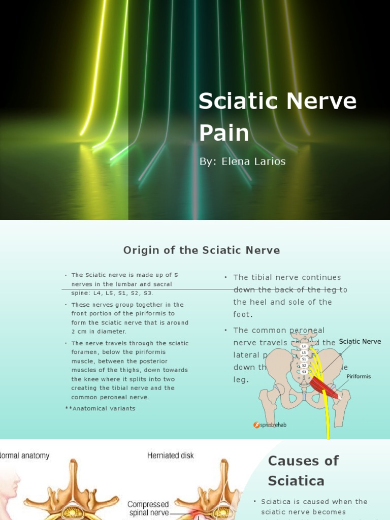 Sciatica Presentation | PDF | Neuroanatomy | Musculoskeletal System