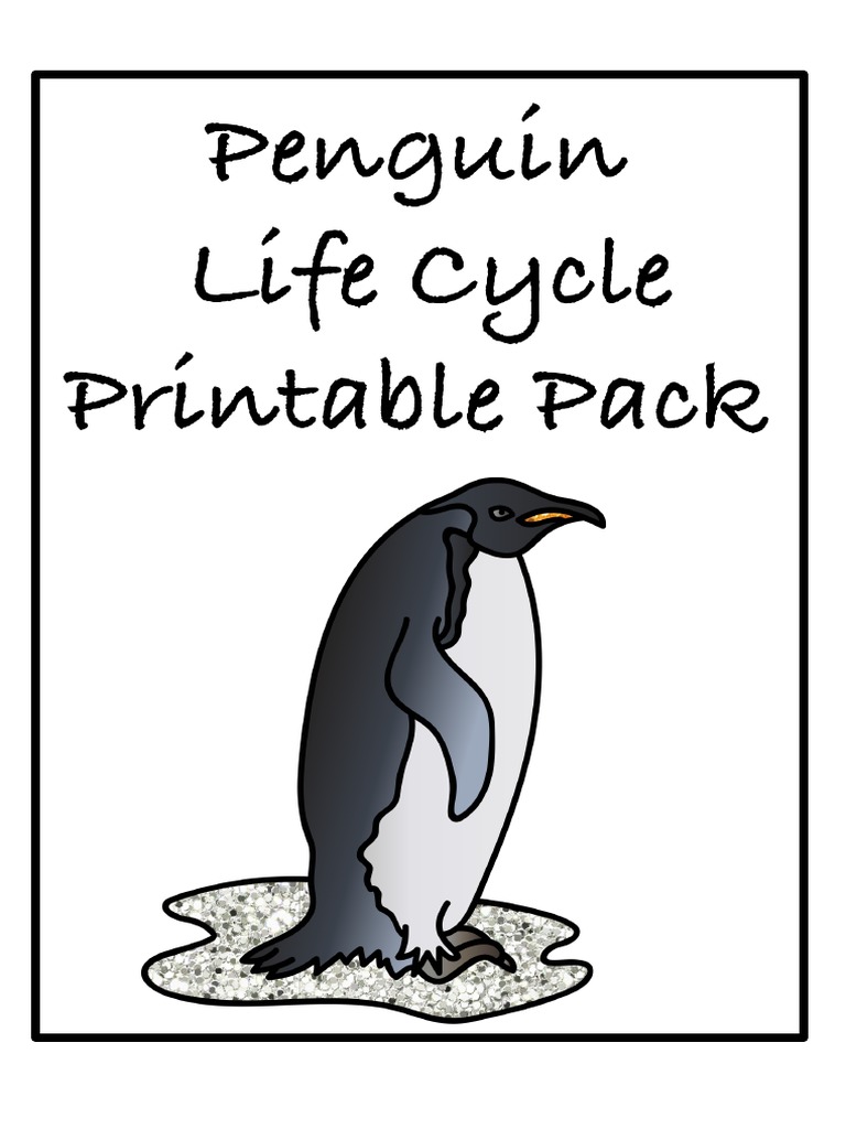 Penguin Life Cycle Printable Pack | PDF | Penguin | Birds