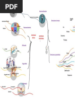 Esquema Del Yo Integral | PDF | Amor | Psique (psicología)