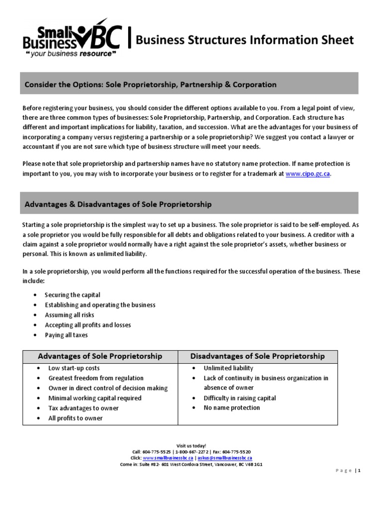 Business Structures Information Sheet July 2010 | PDF | Sole ...