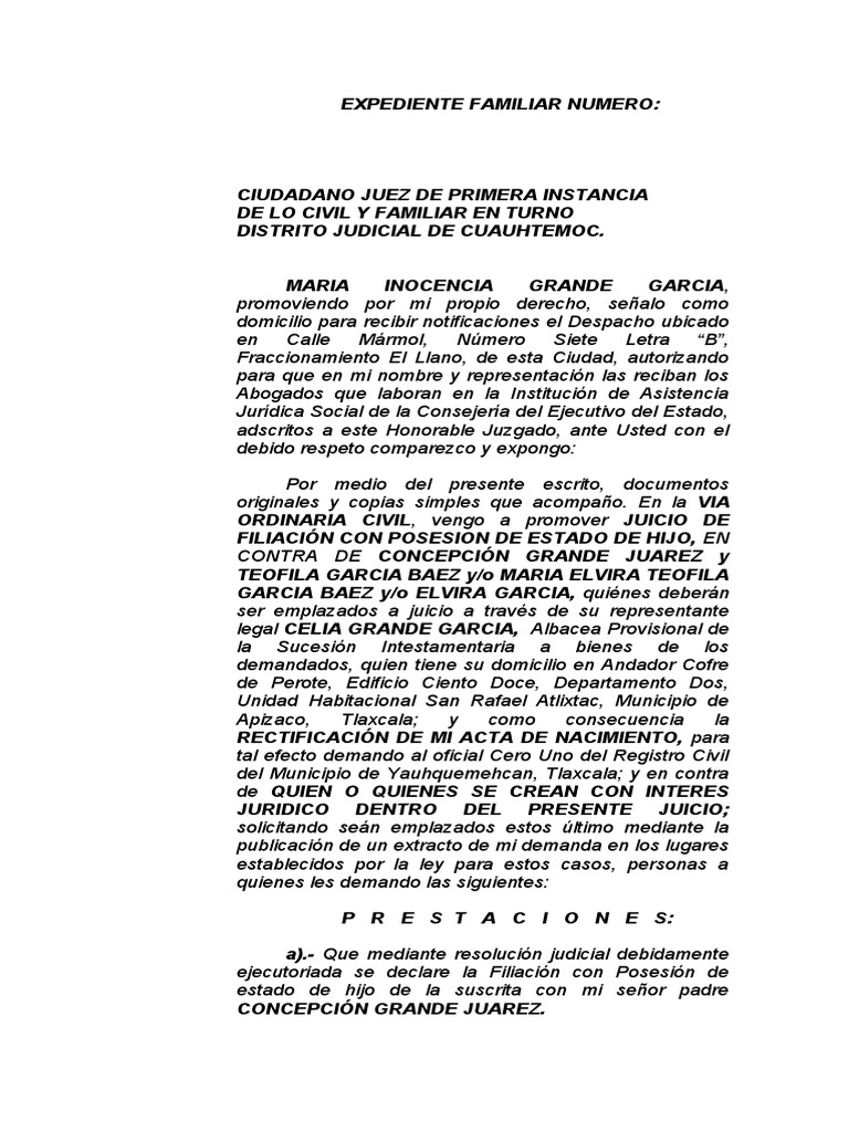 Rectificacion y Filiacion Maria Inocencia Grande | PDF