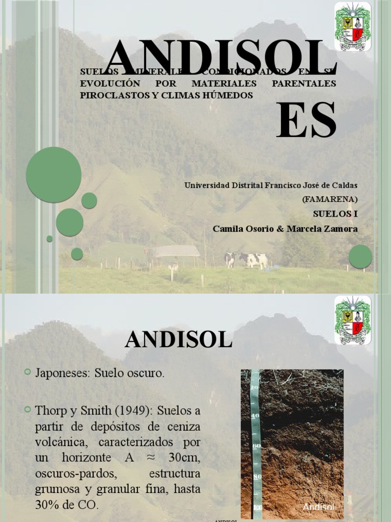 Andisoles | PDF | Química | Naturaleza