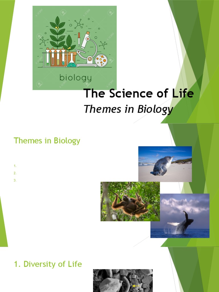 M4 Themes in BIology For Students | PDF