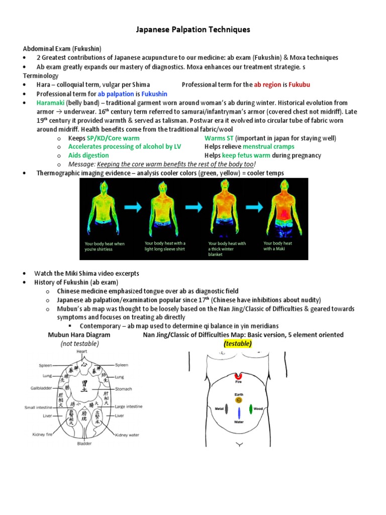 Japan Hara Diagnosis | Download Free PDF | Traditional Chinese Medicine ...