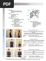 Scapular Stabilisation: Y-W-T Exercises | PDF