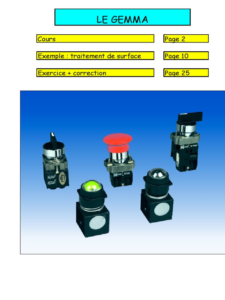 GEMMA | PDF | Interrupteur | Corrosion