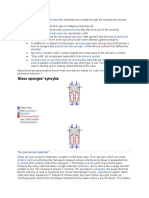 Sponge Body Plans: Asconoid Explained | PDF | Sponge | Cell Biology