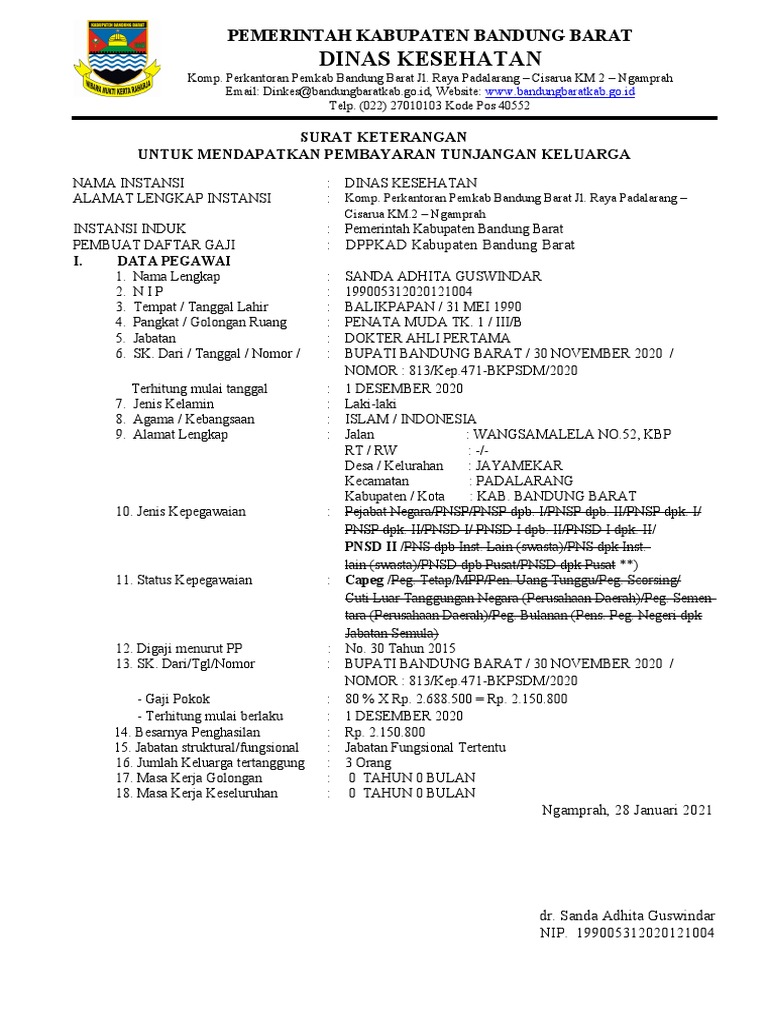 Panduan Pengisian SKUMPTK PPPK | PDF