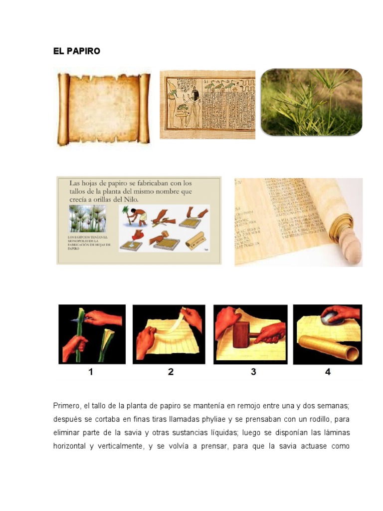 El Papiro | PDF | Códice | Biblia