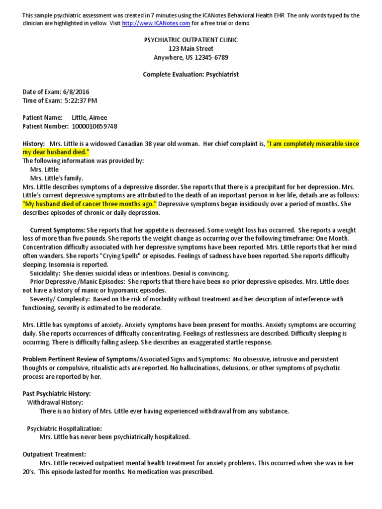 Psychiatric Assessment Report Sample - Mental Health Evaluation Example ...
