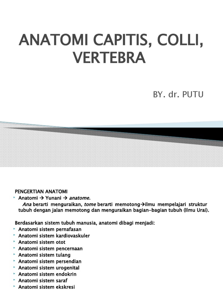 Anatomi Capitis, Colli, Vertebra | PDF