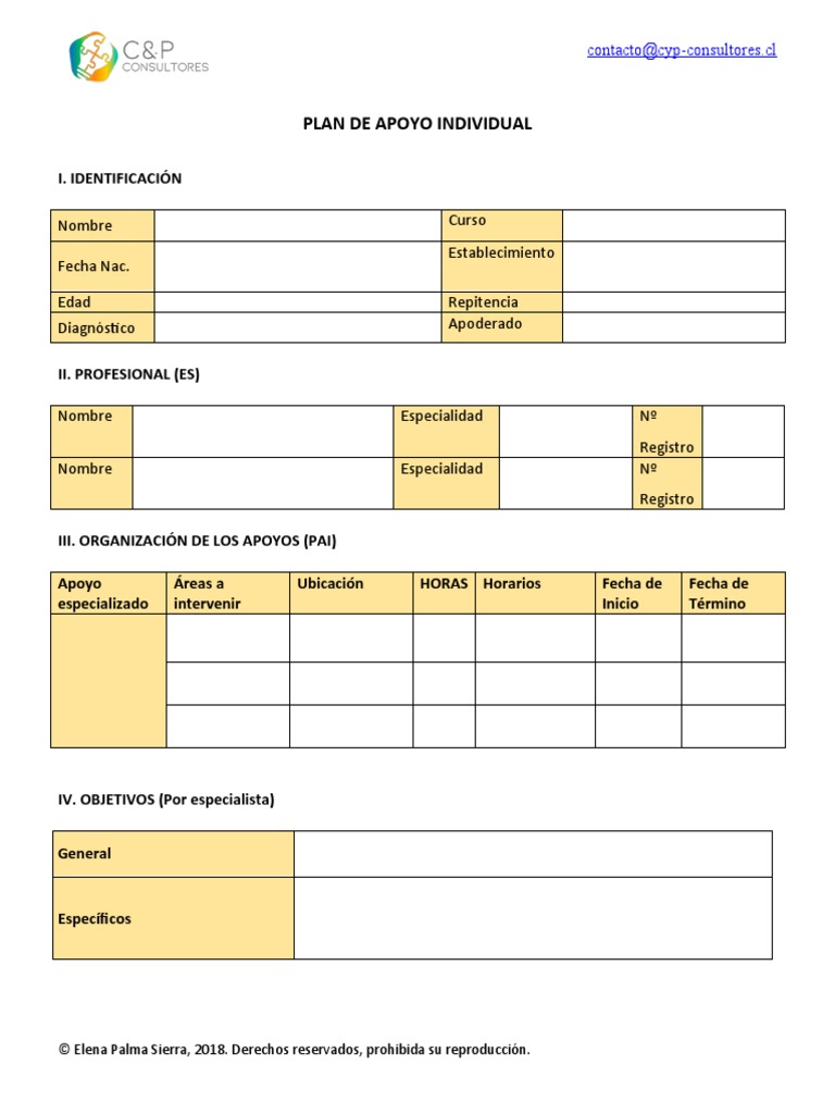 Formato PAI | PDF | Business