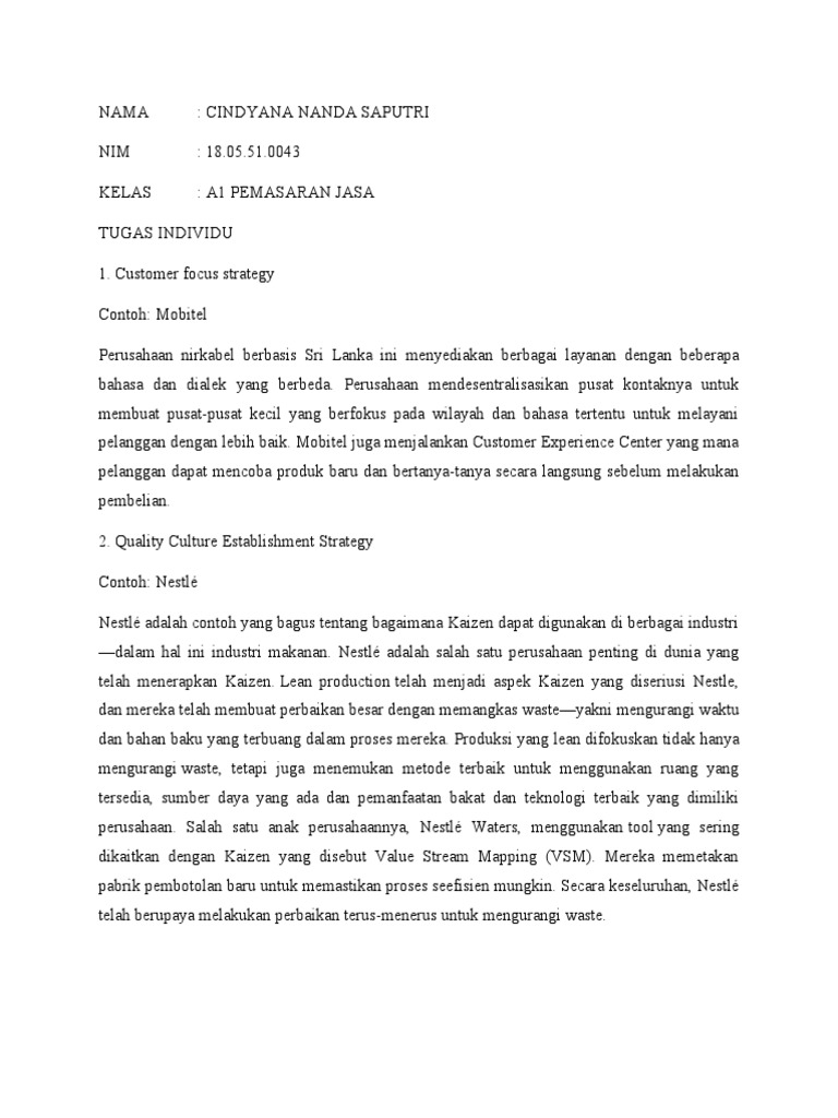 Contoh Customer Focus Strategy | PDF