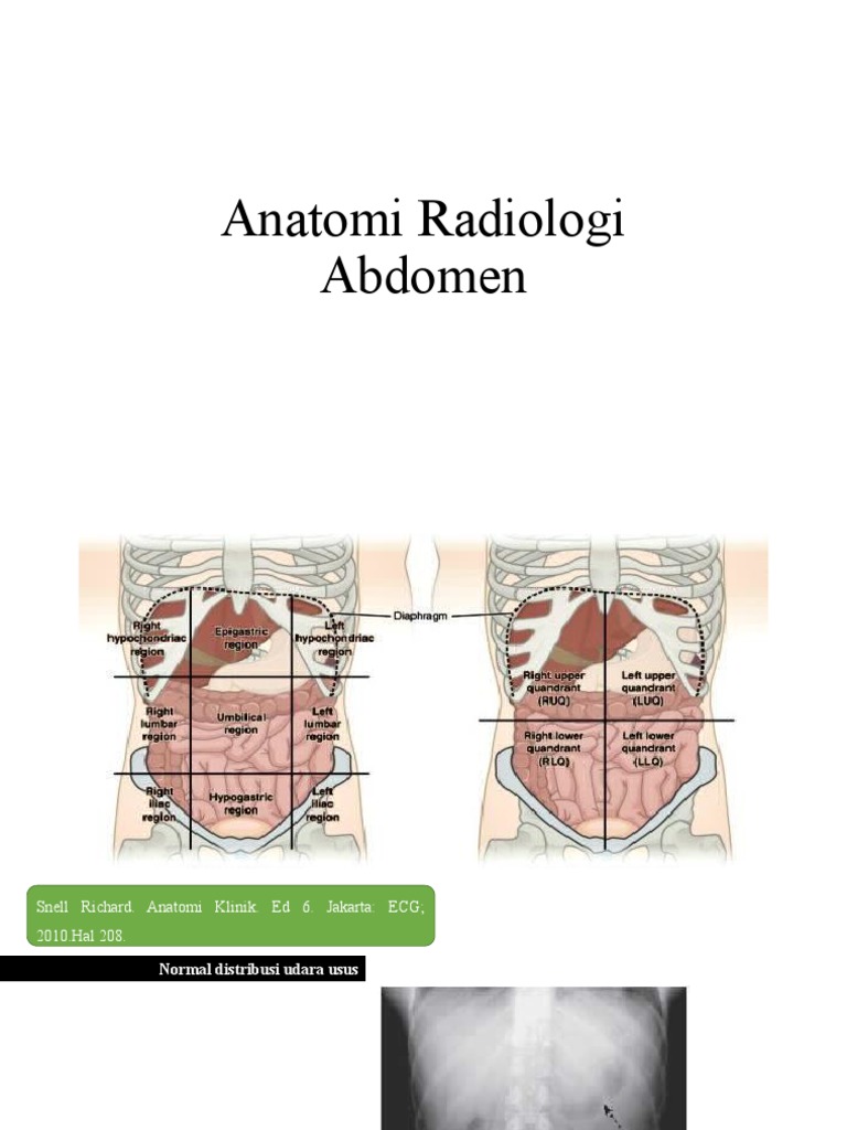 Anatomi Radiologi Abdomen | PDF
