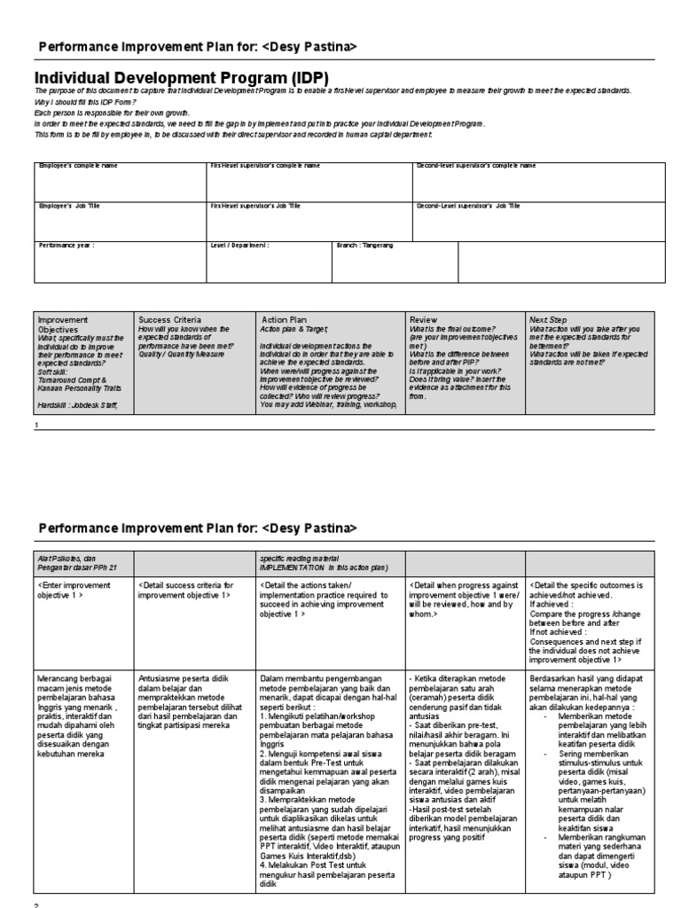 Individual Development Program (IDP) : Performance Improvement Plan For ...
