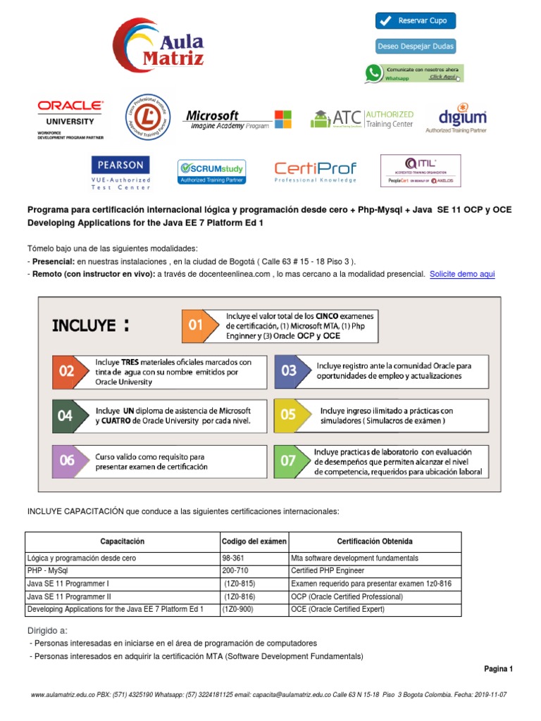 Capacitacion Programa para Certificación Internacional Lógica y ...
