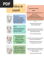 3.examen Fisico de La Paciente Embarazada | PDF | El embarazo | Especialidades Medicas