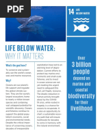 SDG 14: Life Below Water Overview | PDF | Environment | Economy And The ...
