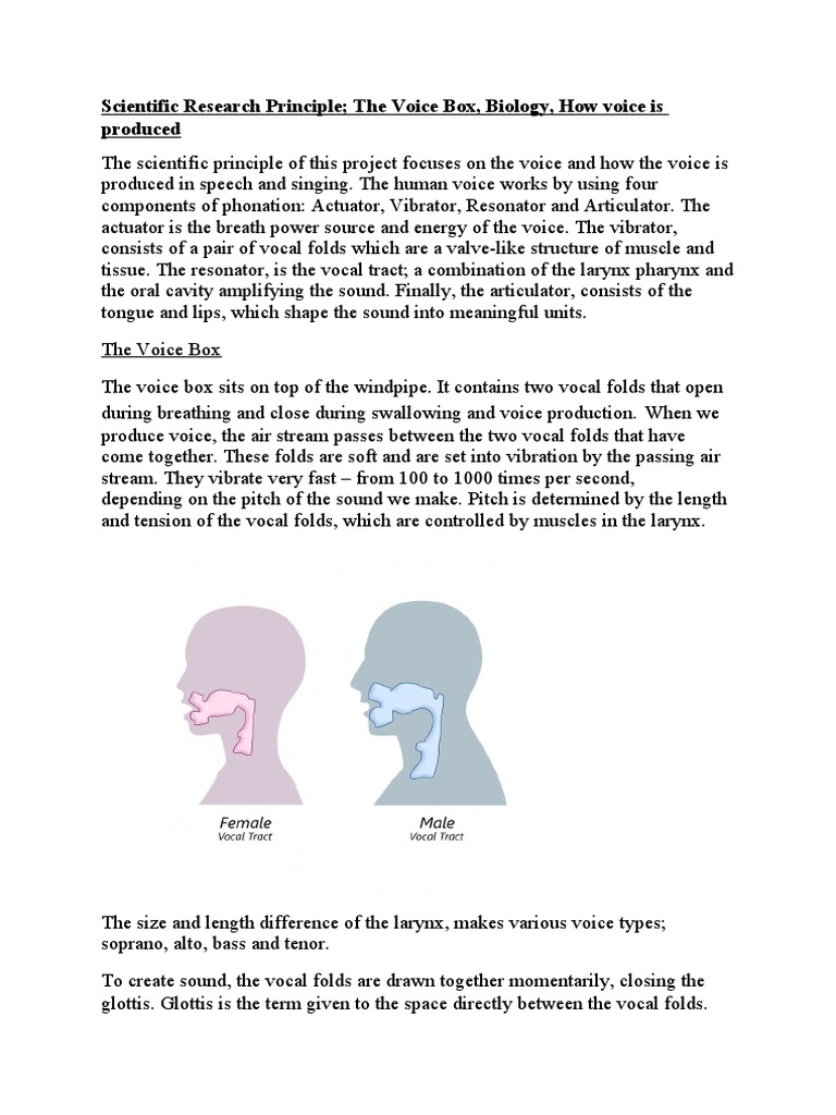 The Four Components of Phonation: Explaining How the Human Voice is ...