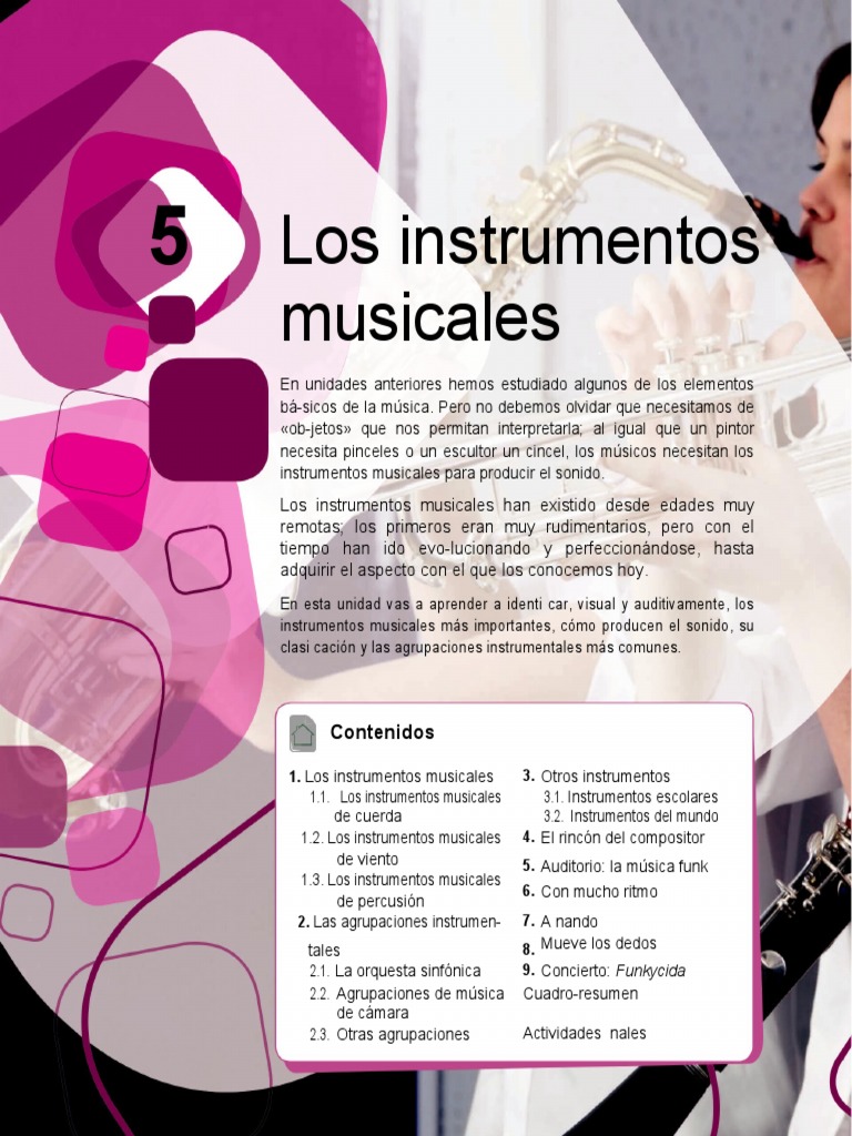Instrumetos Musicales - Sesion | PDF | Instrumentos musicales ...