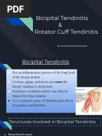 Transverse Friction Massage | PDF | Inflammation | Tendon