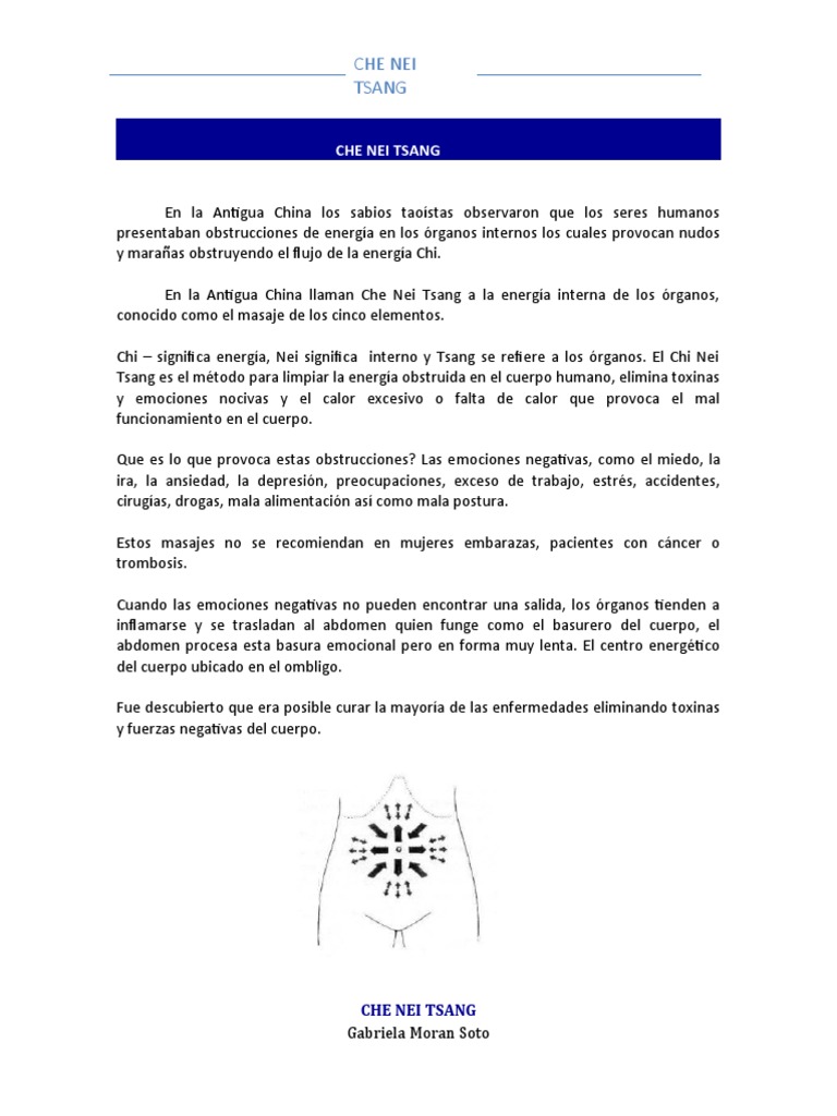 Masaje Chi Nei Tsang | PDF | Sistema digestivo humano | Qi