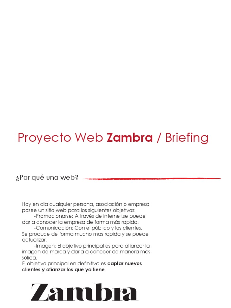 Briefing Web | PDF | Página web | Red mundial