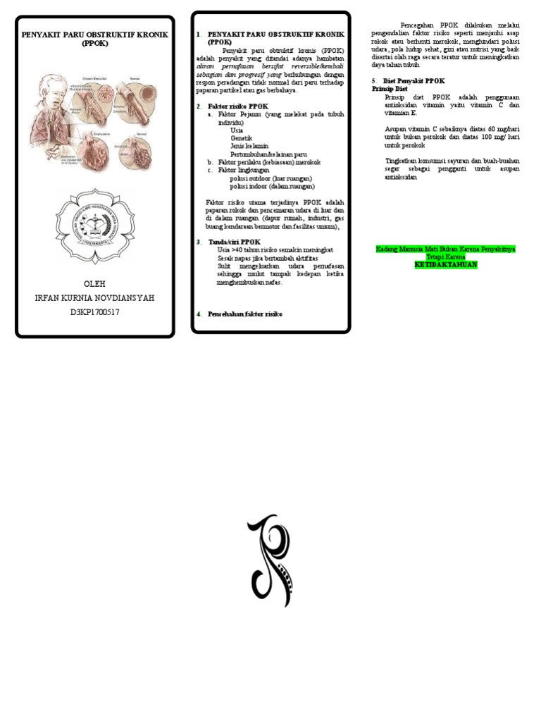 Leaflet Ppok | PDF