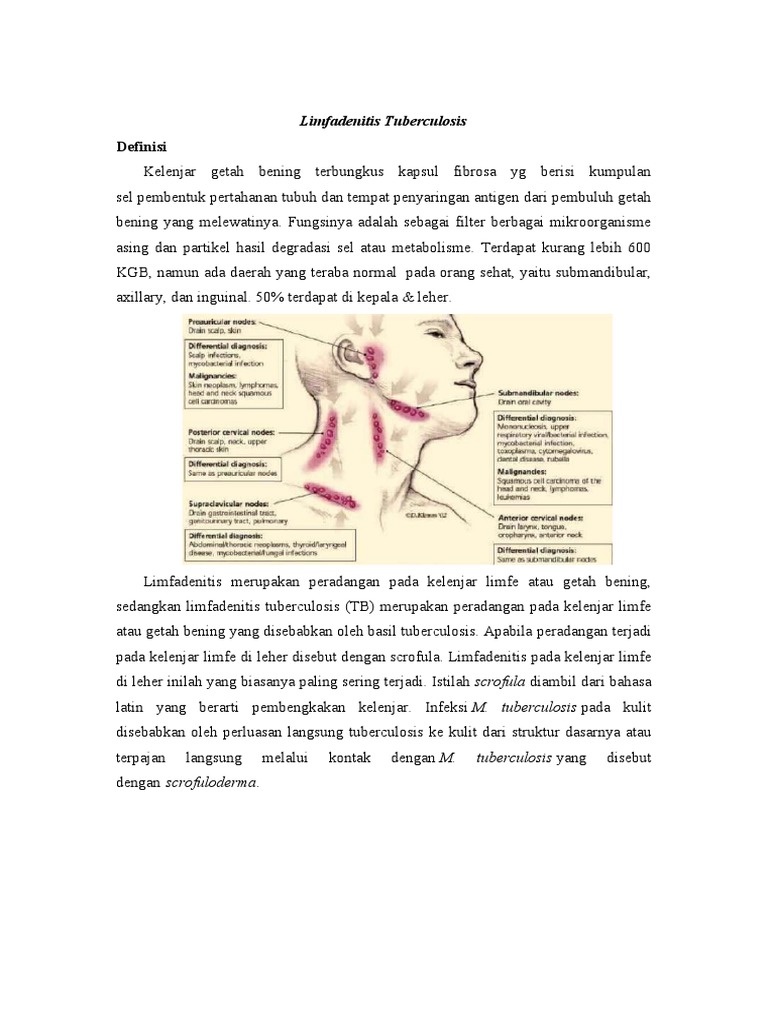 Limfadenitis | PDF