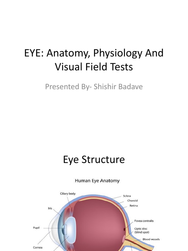 Medical Devices-Physio Eye Presentation | PDF | Autonomic Nervous System | Eye
