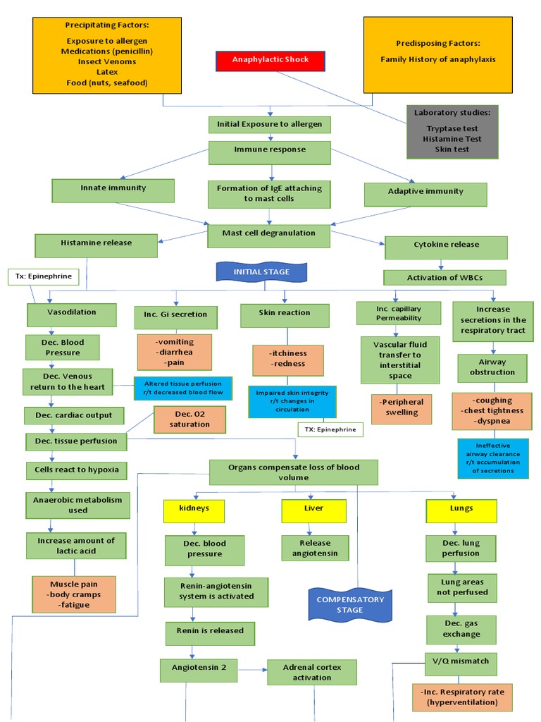 Anaphylactic Shock: Causes, Symptoms, and Treatment | PDF | Shock ...