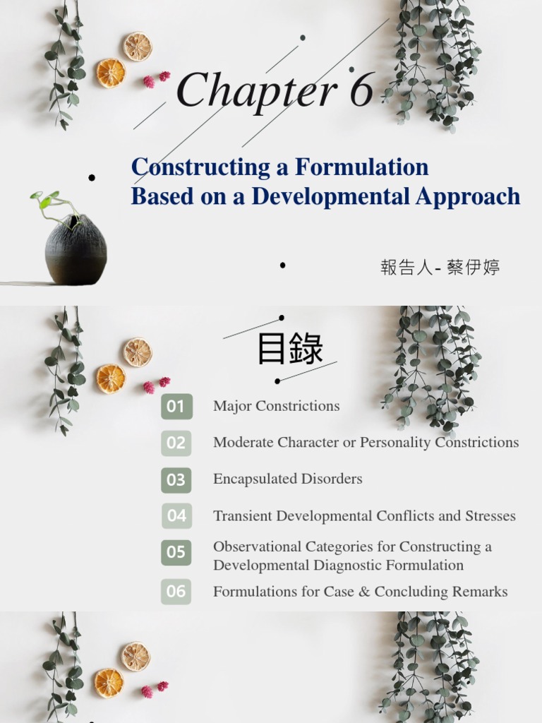 Ch.6 Constructing a formulation based on Developmental Approach- 蔡伊婷 | PDF