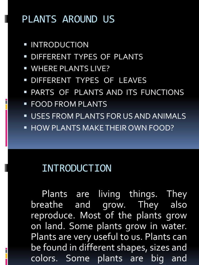 PLANTS: Types, Parts, Uses & How They Make Food | PDF | Trees | Shrub