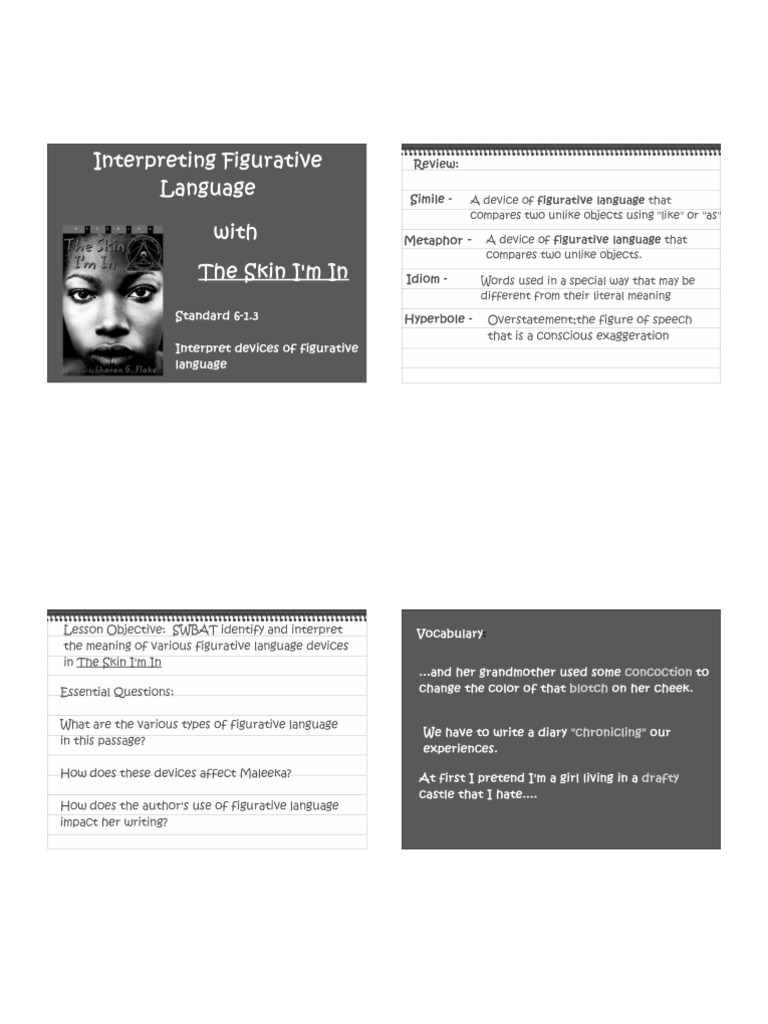 The Skin I'm in (Figurative Language - 2) | PDF