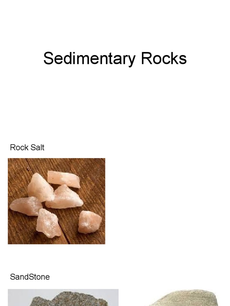 Sedimentary Rocks Study Guide | PDF
