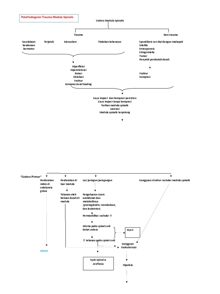 Patway Trauma Medula Spinalis 1 | PDF