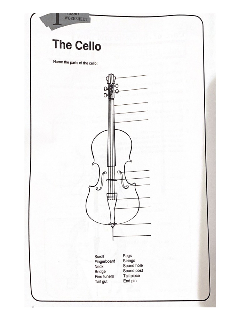 Cello WORKSHEET | PDF