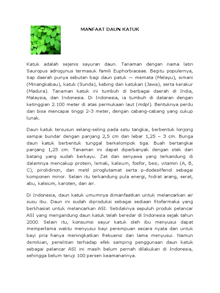 Manfaat Kesehatan Daun Katuk untuk Ibu Menyusui | PDF